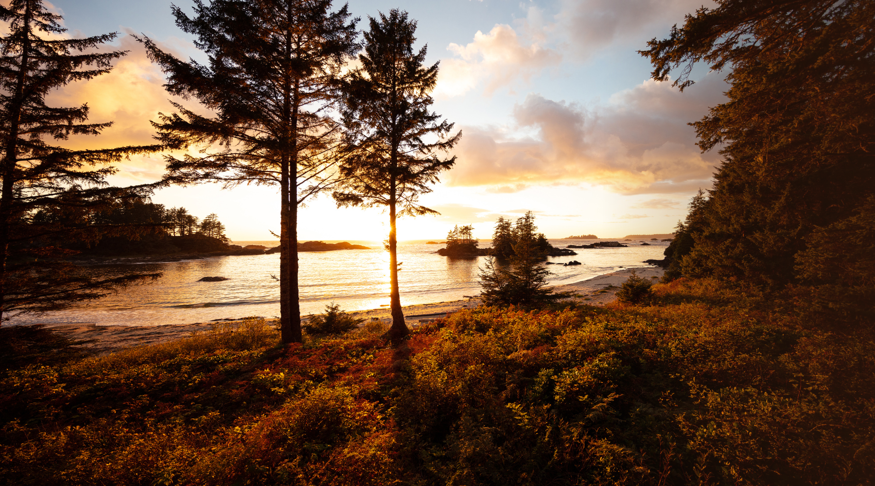 The Earth Element - A Nourishing Symphony of Sensuality – Pacific Essences