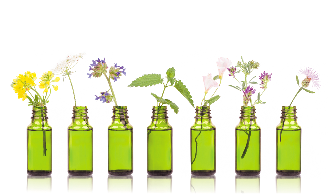 How do Essences Work? – Pacific Essences