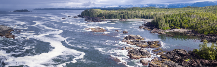 Natural to Support Emotional, Mental and Physical Healing – Pacific ...