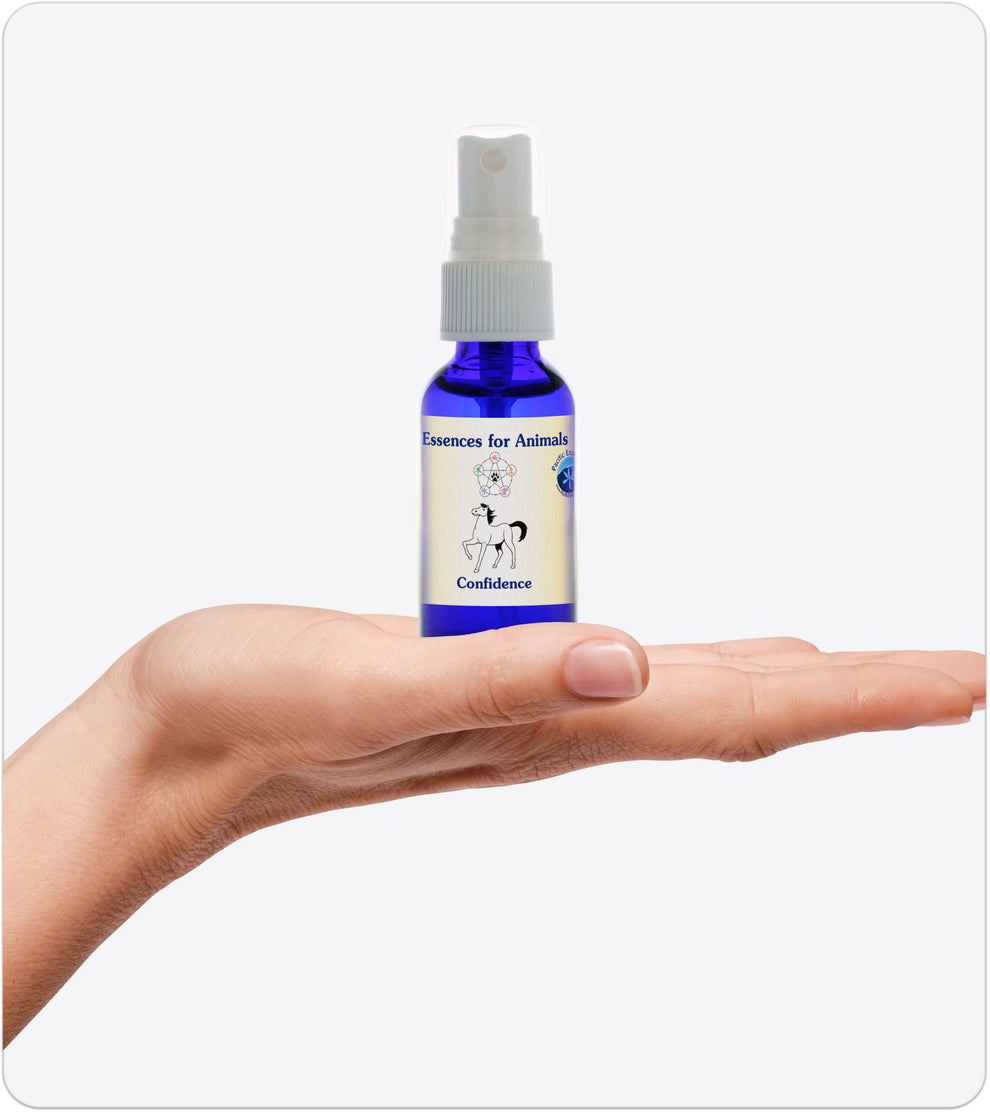 Confidence | Animal Essence – Pacific Essences