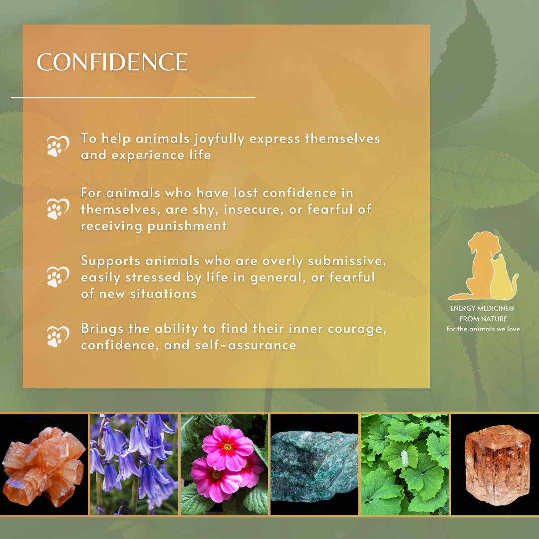 Confidence for Animals – Pacific Essences