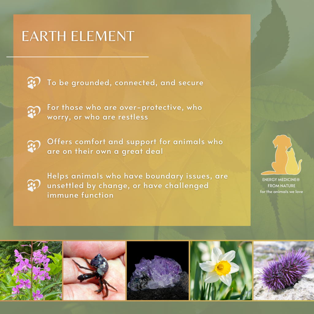 Earth Element | Animal Essence – Pacific Essences
