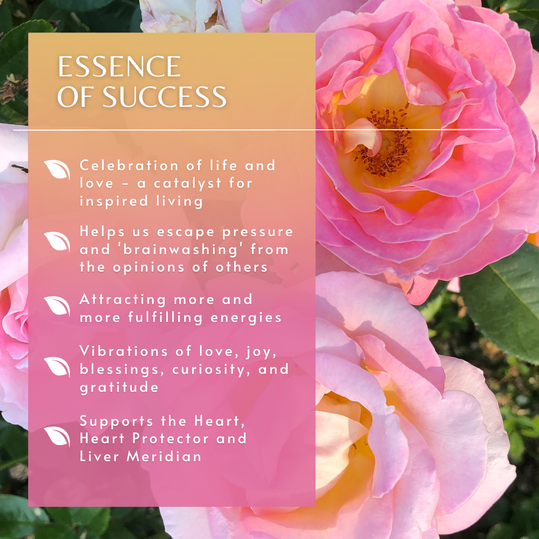 Essence of Success – Pacific Essences