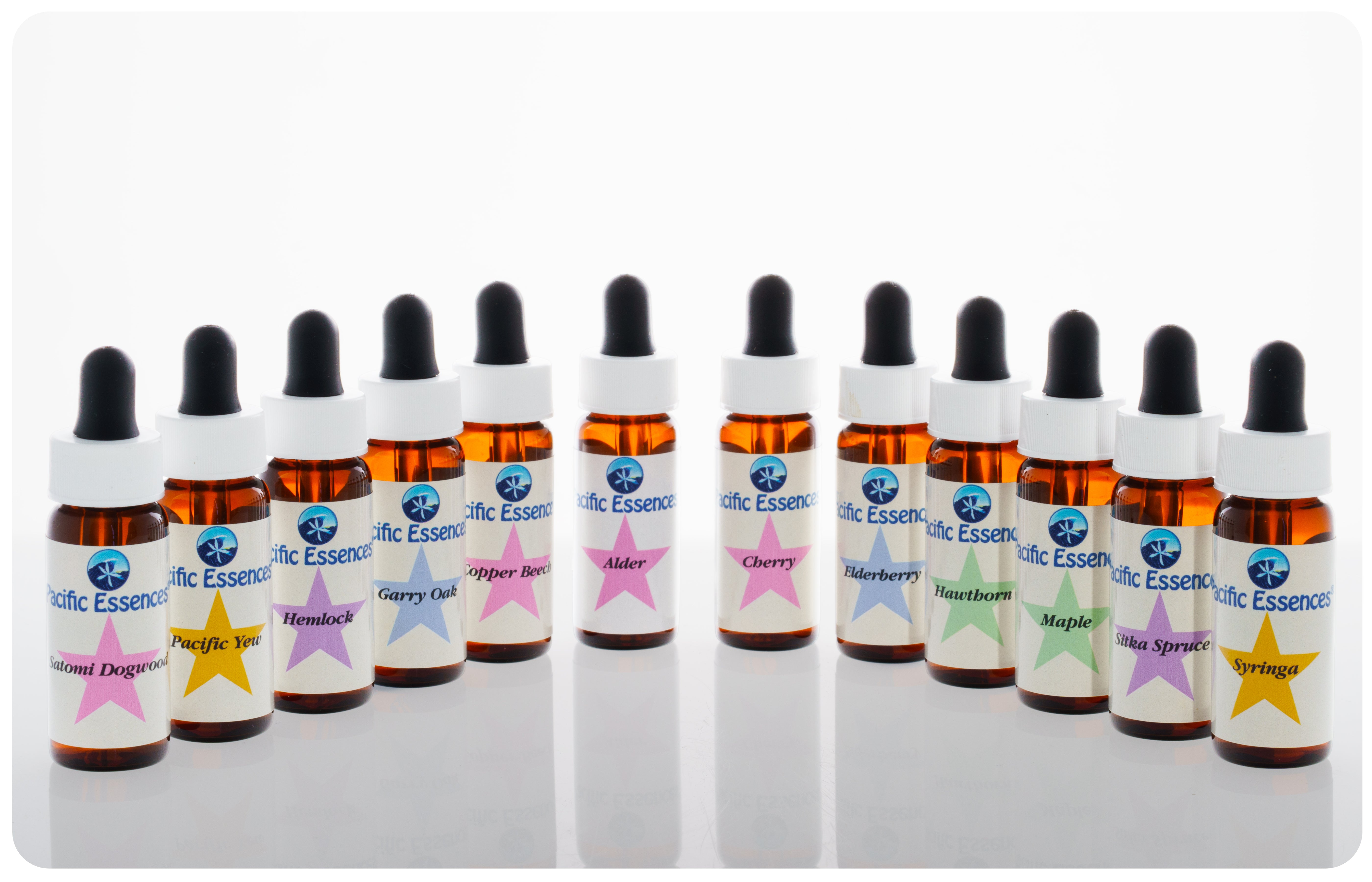 Meridian Kit - Trees – Pacific Essences