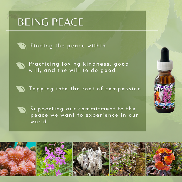 Natural Support for Emotional, Mental and Physical Healing – Pacific ...