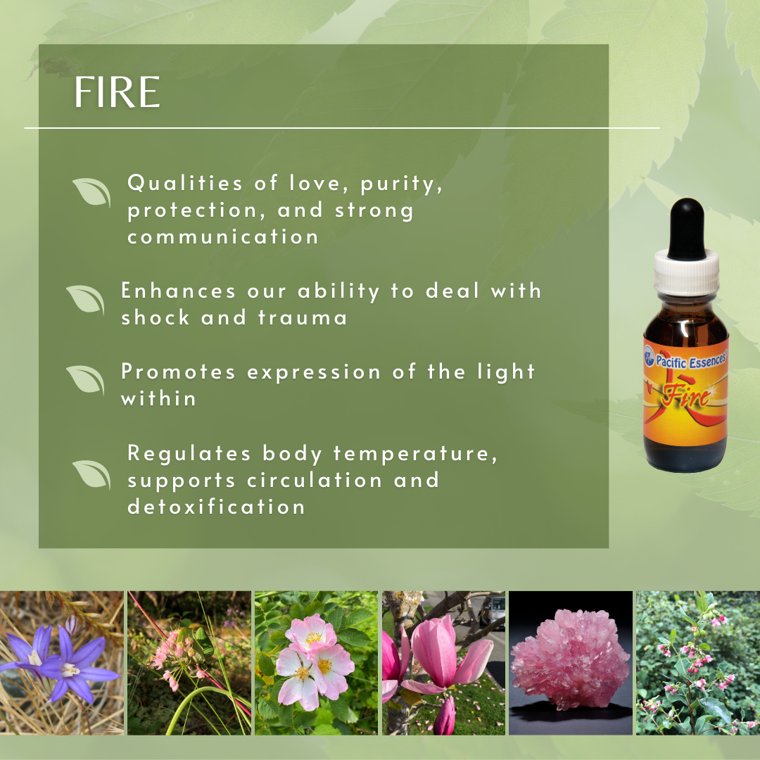 Fire | Combination Essence – Pacific Essences