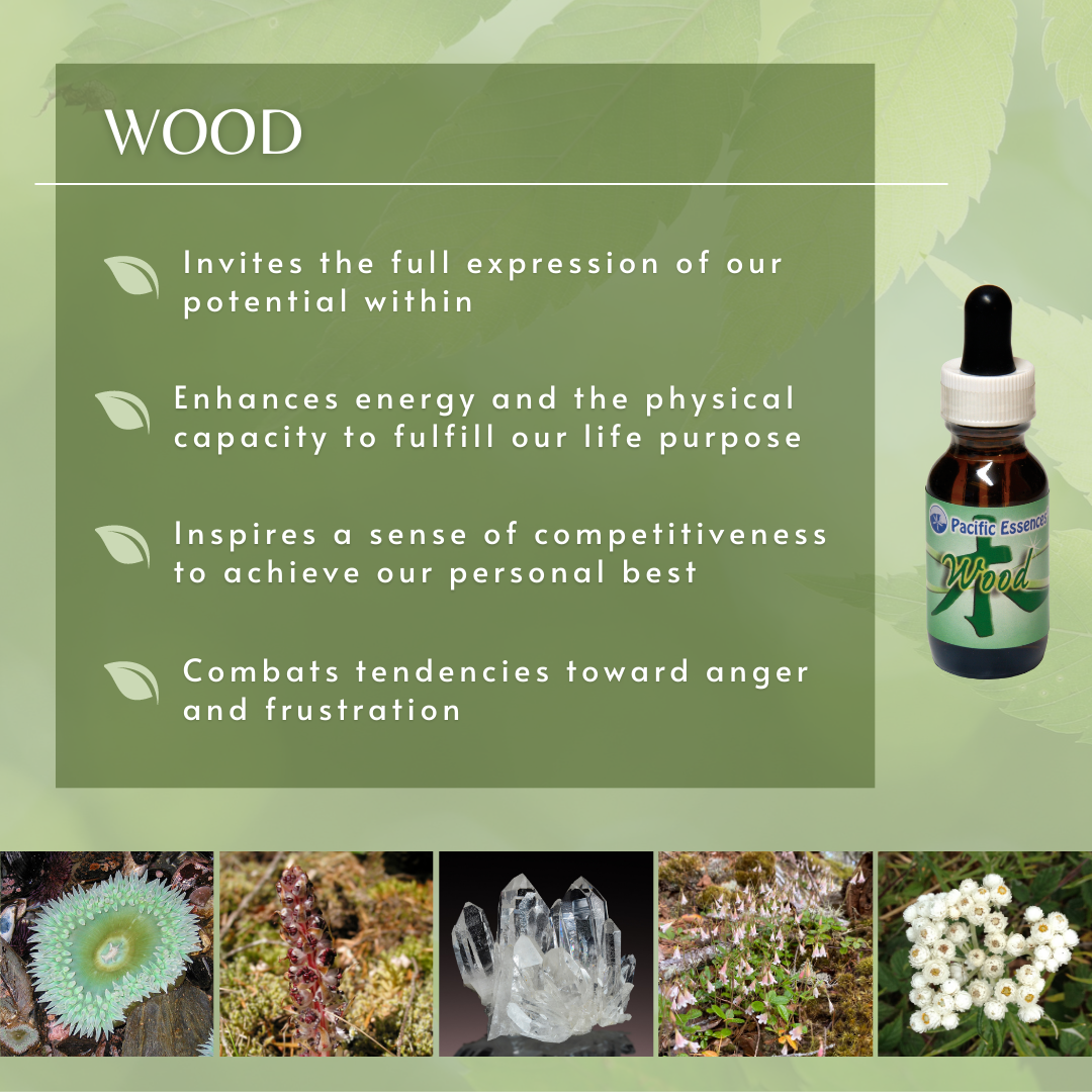 Wood – Pacific Essences
